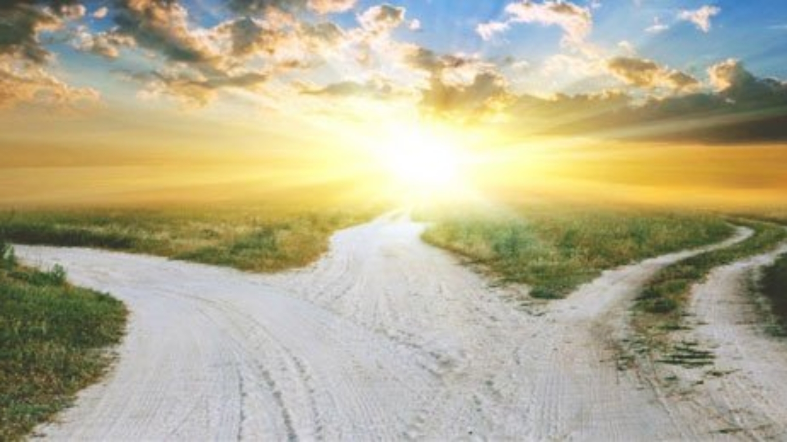 Unity in Diversity: The Many Paths of Yoga Leading to Liberation ...